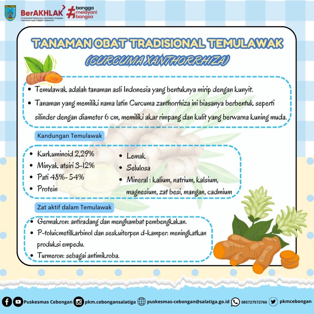 Kandungan dan manfaat temulawak – Puskesmas Cebongan